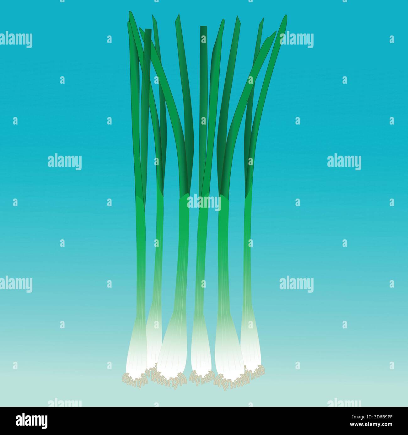 Green herbs vegetables fresh Stock Vector Images - Alamy