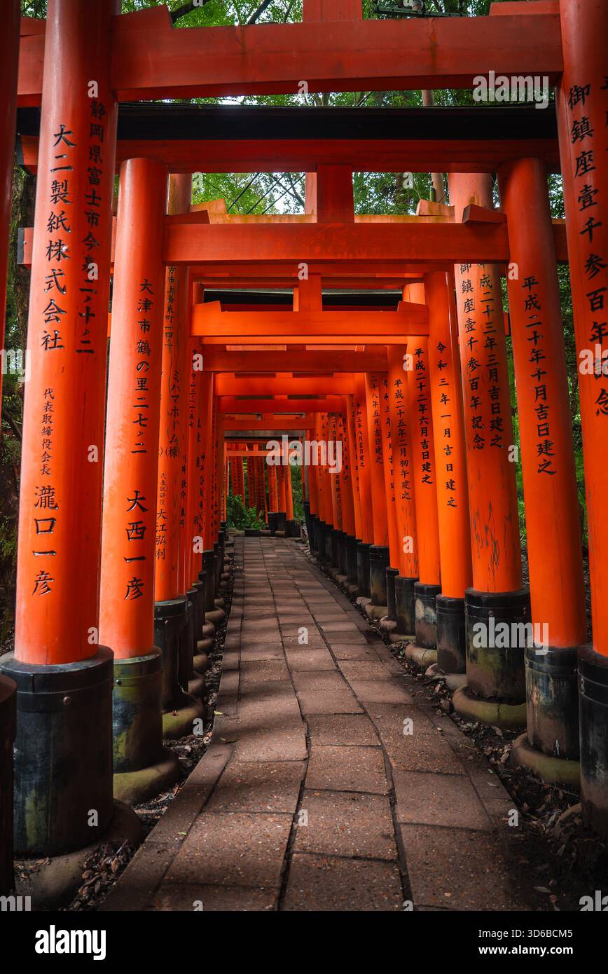 Senbon Torii corridor at Fushimi Inari Taisha in Kyoto, Japan Stock ...