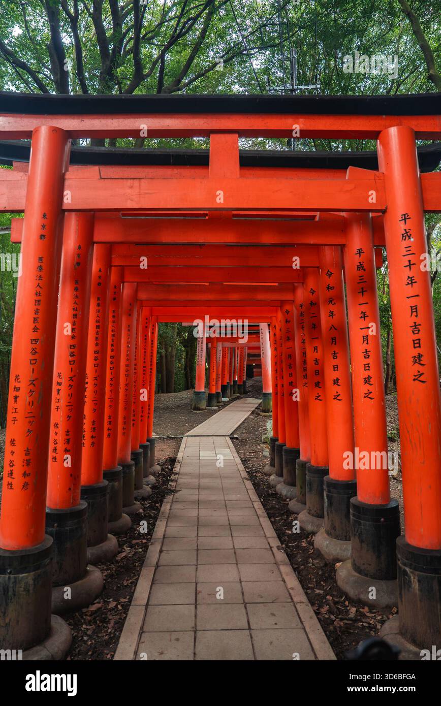 Senbon Torii pathway at Fushimi Inari Taisha in Kyoto, Japan Stock ...