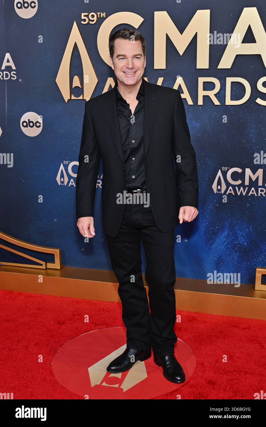 Chris O'Donnell arrives at the 59th Annual Country Music Association ...
