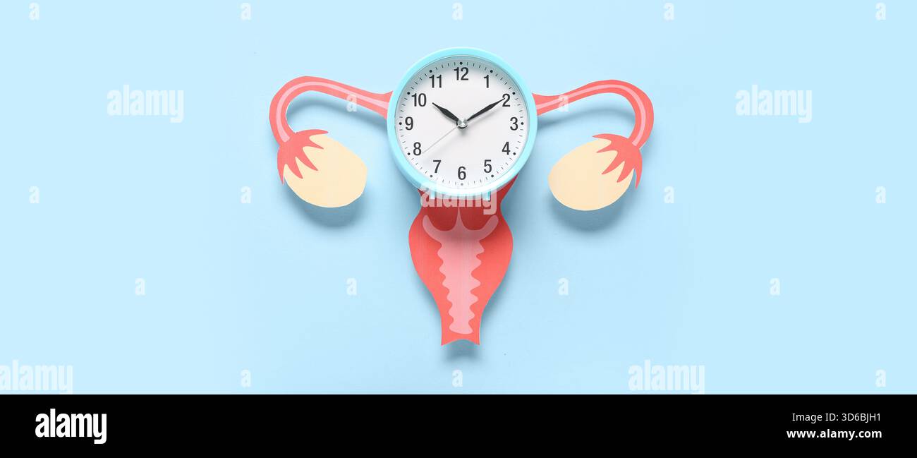 Female gynecologist paper uterus hi-res stock photography and images ...