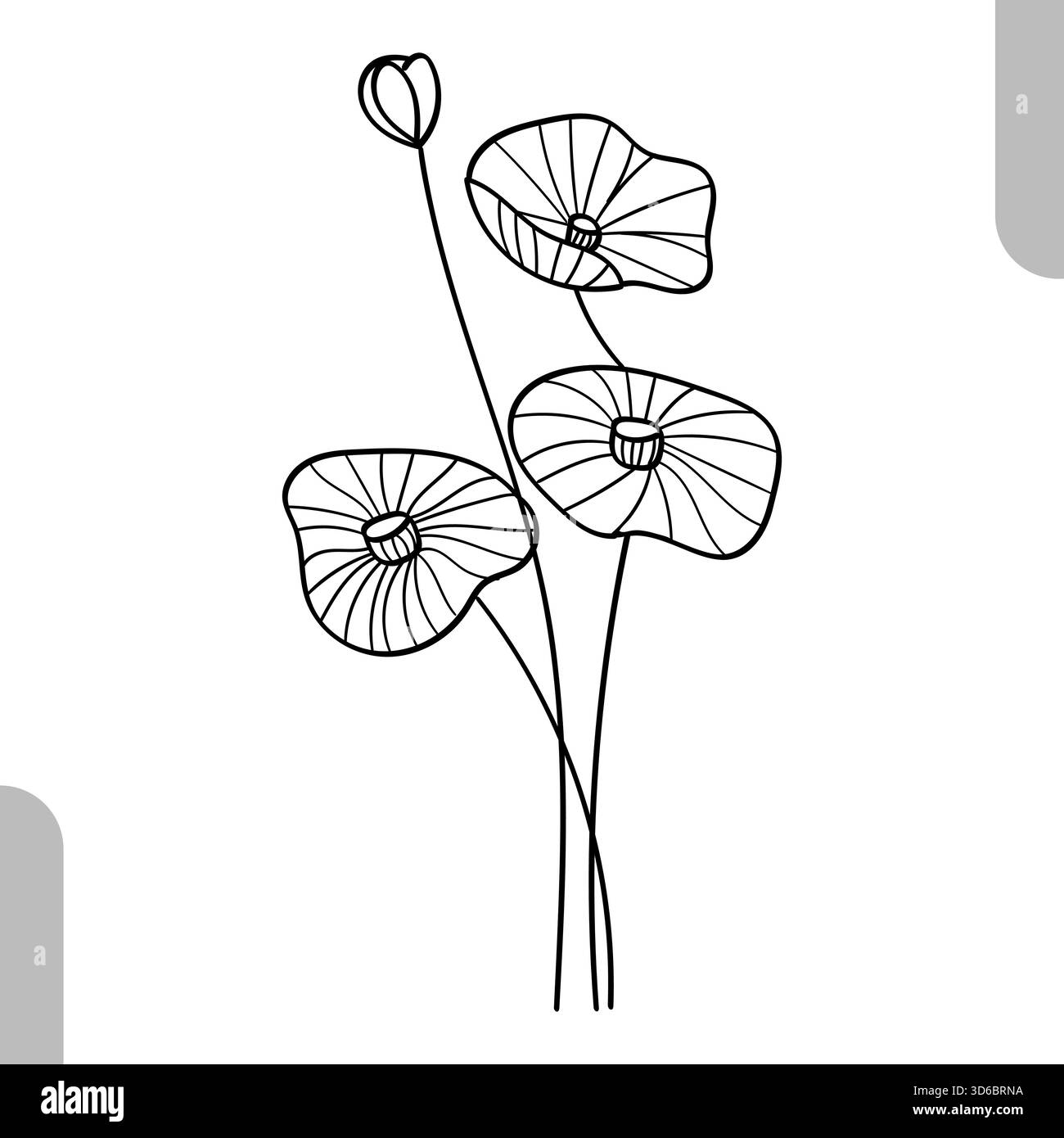 Hand Drawn Poppy Flower and Leaves Stem Line Art. Vector illustration ...