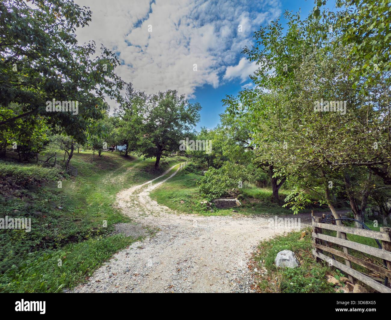 Gravel country road splitting into two tracks in the rural hills of ...