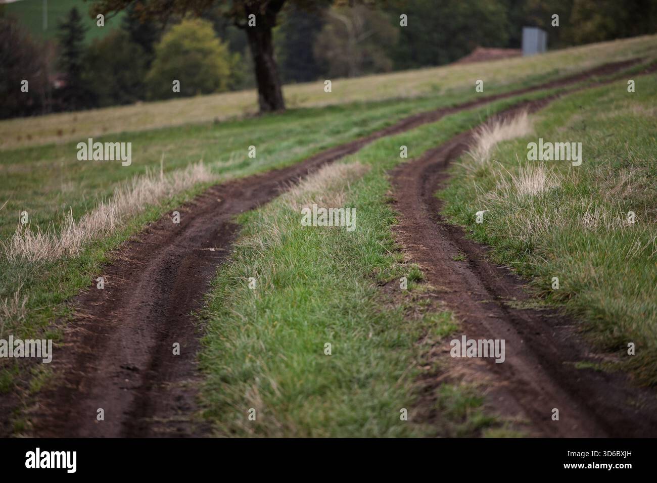 Twin muddy ruts form a narrow country track across a grassy field. The ...