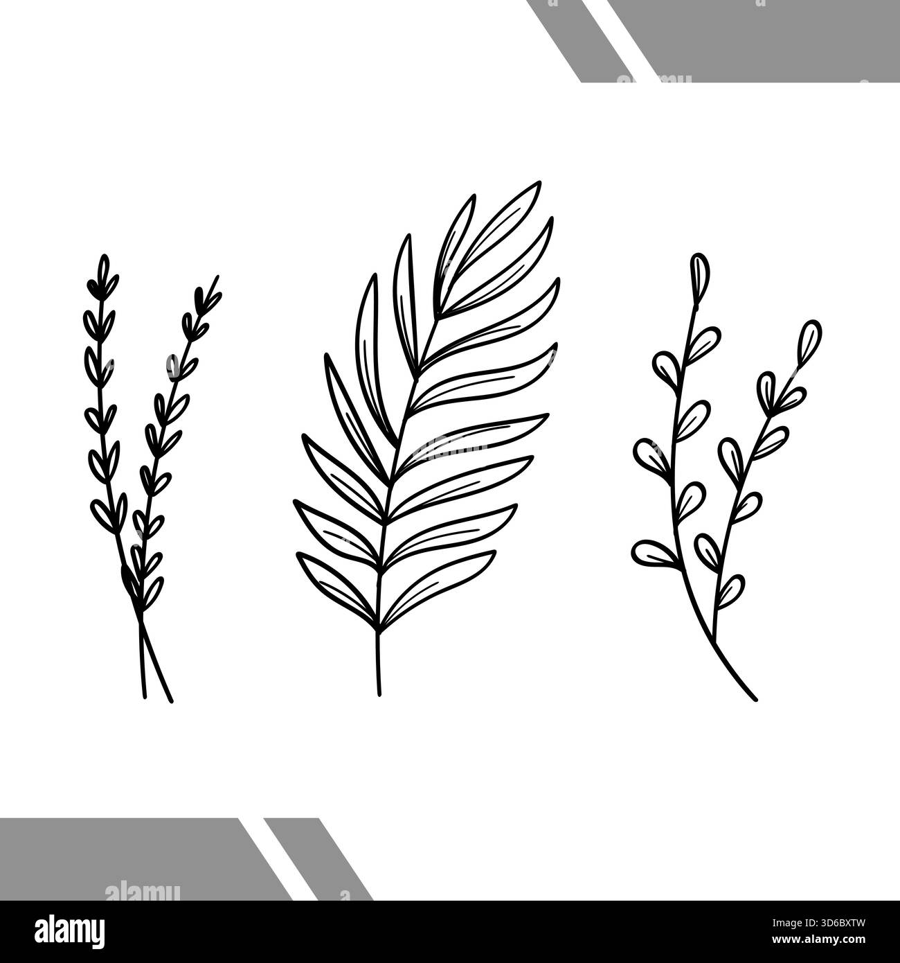 Tree branches lines hand hi-res stock photography and images - Alamy