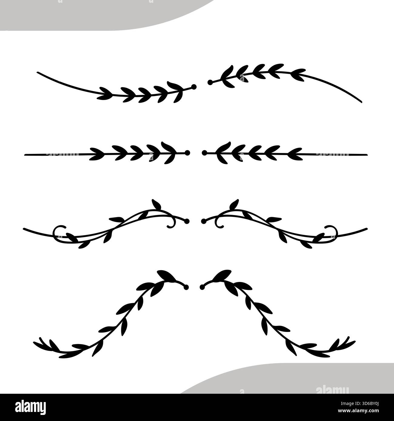 Vine line divider for text layout separator decoration vector ...