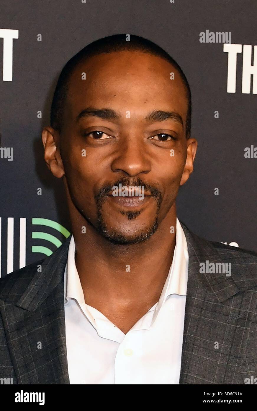 NEW YORK, NY- NOVEMBER 19: Anthony Mackie at the Big Brothers Big ...