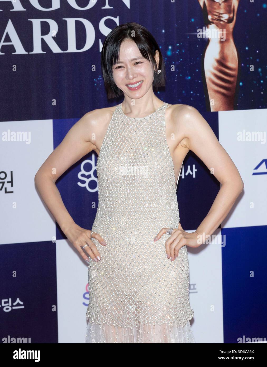 19 November 2025 - Seoul, South Korea : South Korean actress Son Ye-jin, arrives red-carpet for ...