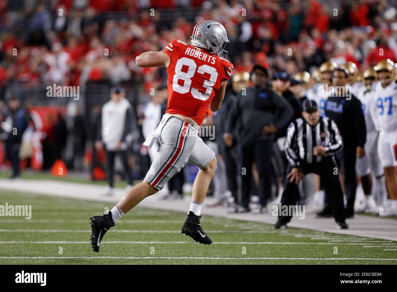 COLUMBUS, OH - NOVEMBER 15: Ohio State Buckeyes tight end Nate Roberts ...