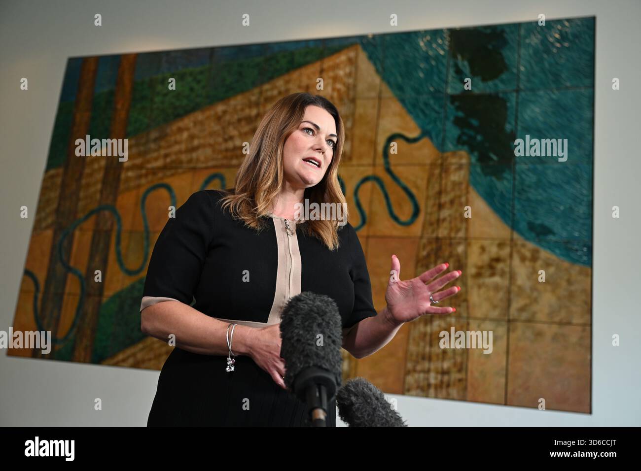 Australian Greens Senator Sarah Hanson-Young speaks to the media during a press conference at ...