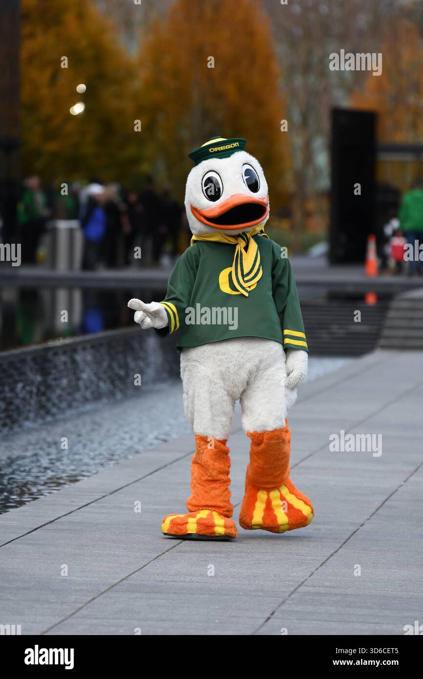 EUGENE, OR - NOVEMBER 14: The Oregon Ducks mascot, Puddles, performs ...