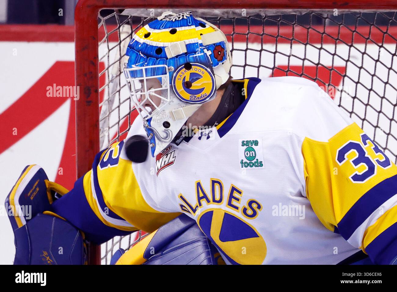 Profile photo on Saskatoon Blades goalie Ethan McCallum during WHL ...