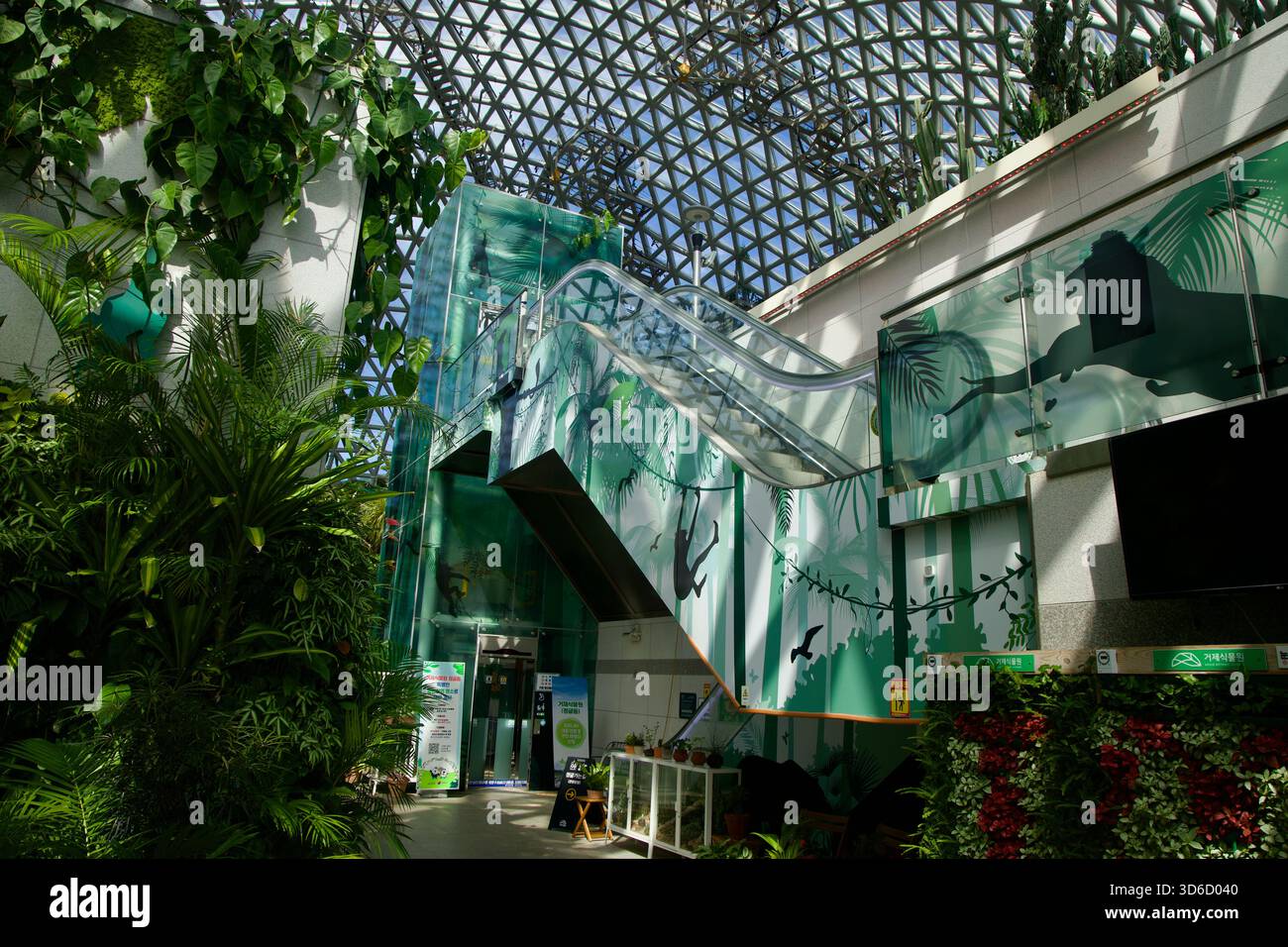 Inside the Geoje Jungle Dome, an escalator with jungle‑themed murals ...