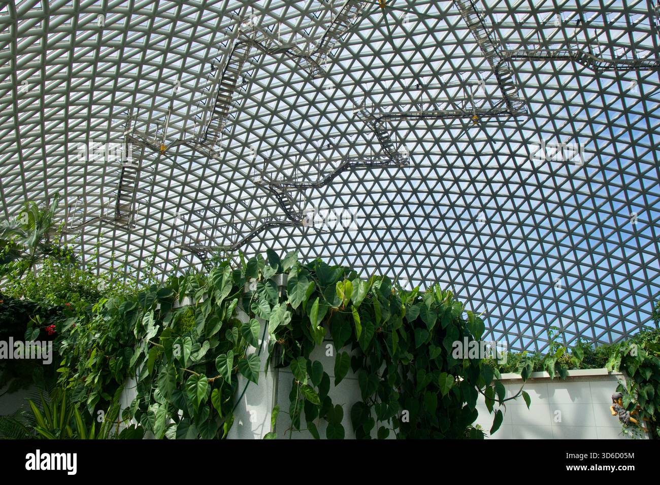 A view across the Geoje Jungle Dome shows the triangular roof grid and ...