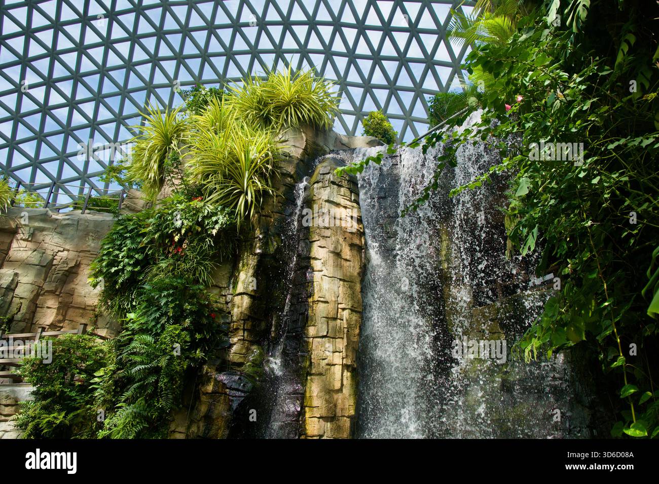 An elevated view shows the Geoje Jungle Dome centered within landscaped ...