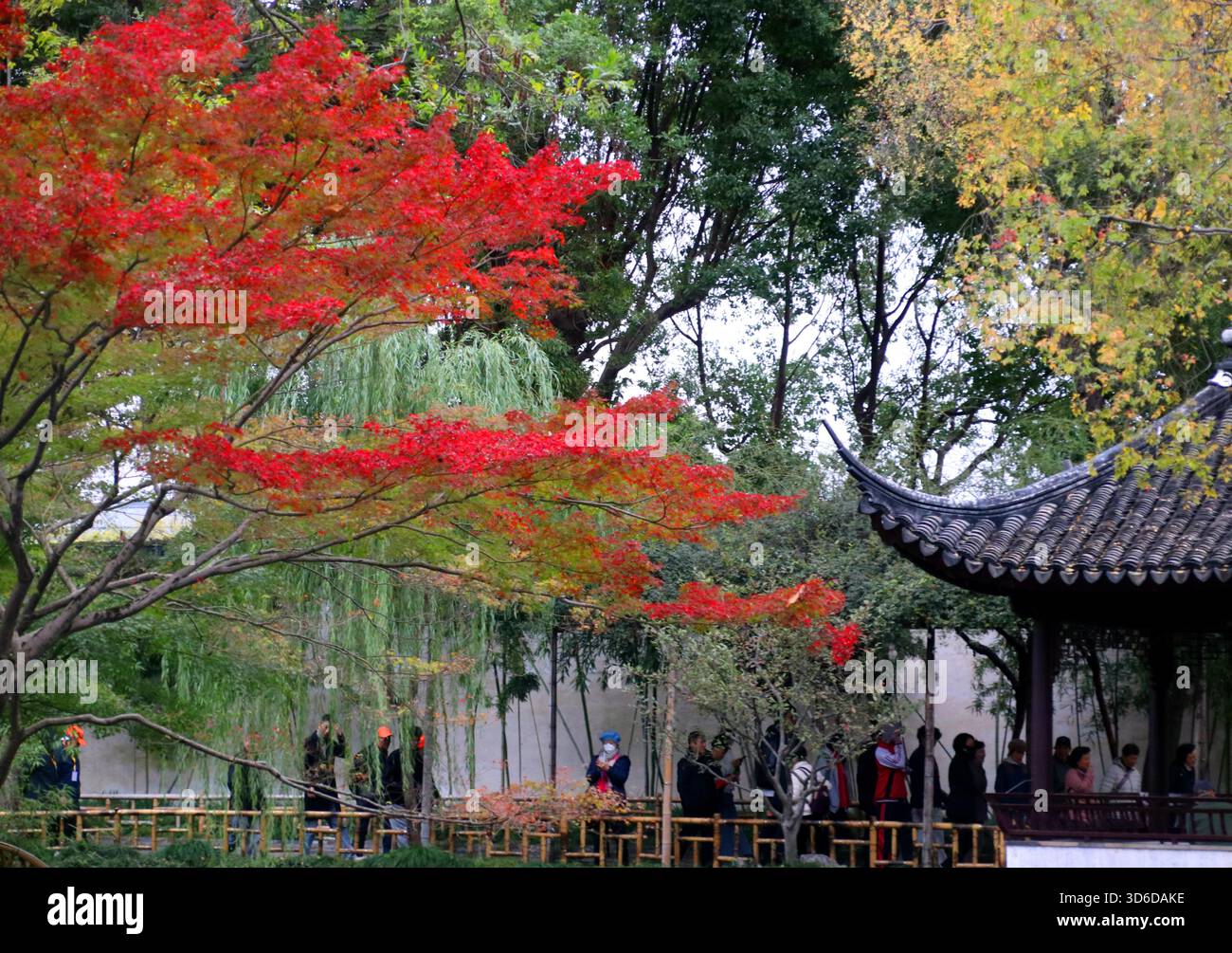 Tourists admire maple trees at the Humble Administrator's Garden in ...