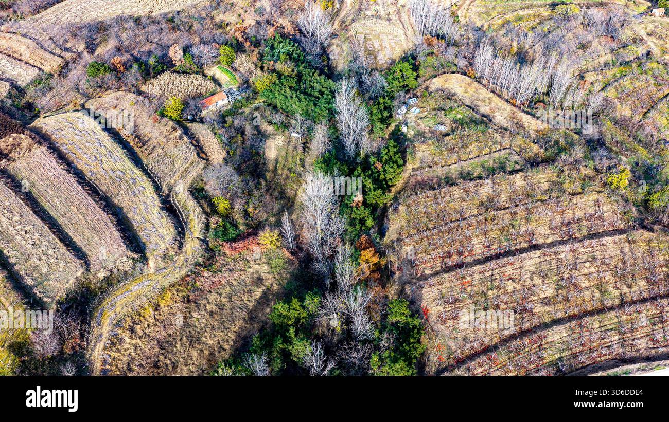 Aerial photo shows the early winter scenery of terraced fields in ...