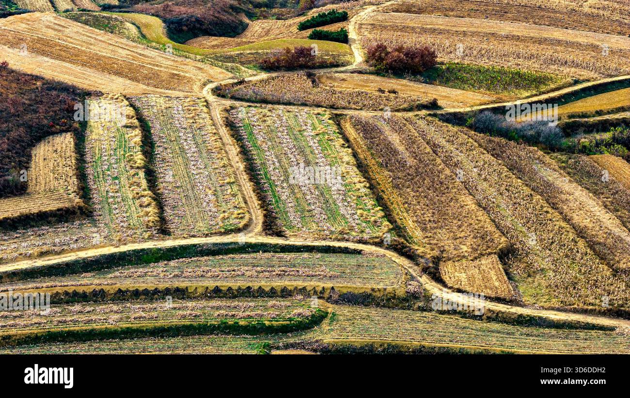 Aerial photo shows the early winter scenery of terraced fields in ...