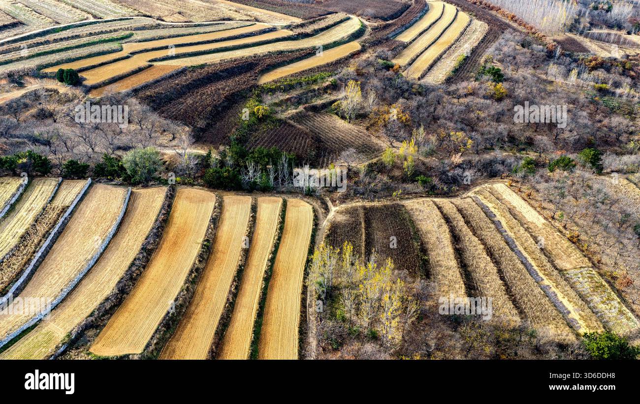 Aerial photo shows the early winter scenery of terraced fields in ...