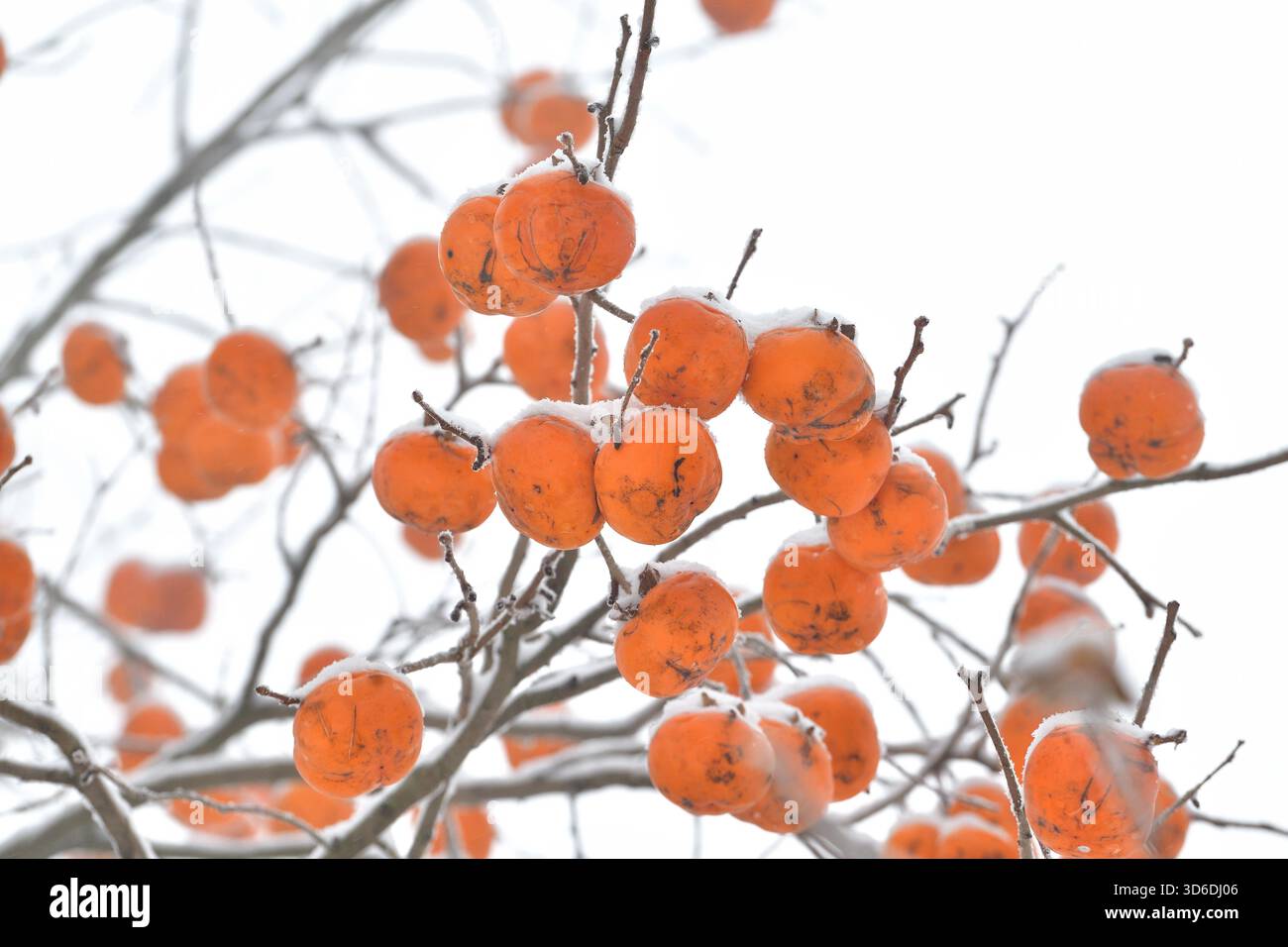 Snow scenery in Baokang County, Xiangyang City, central China's Hubei ...