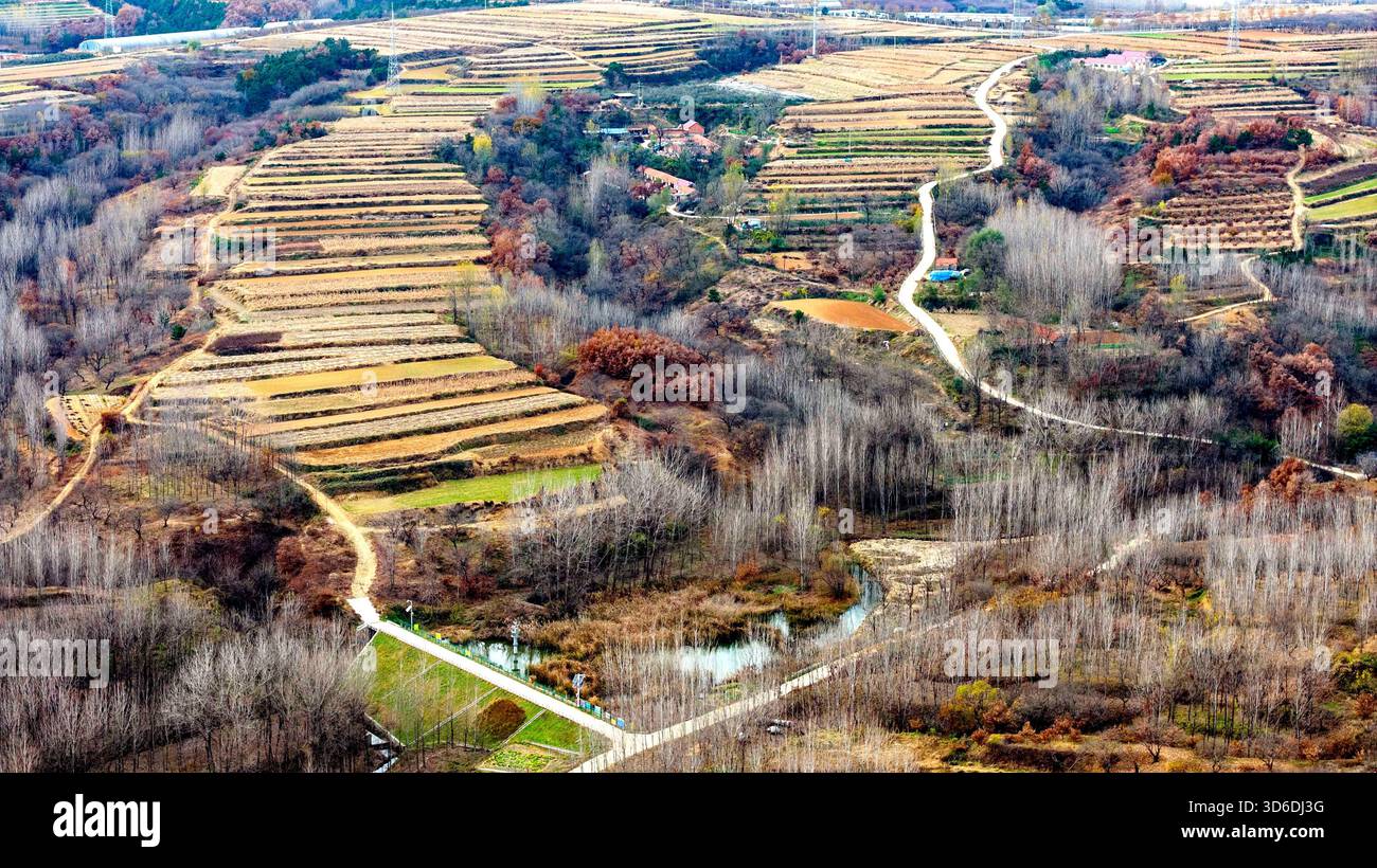 Aerial photo shows the early winter scenery of terraced fields in ...