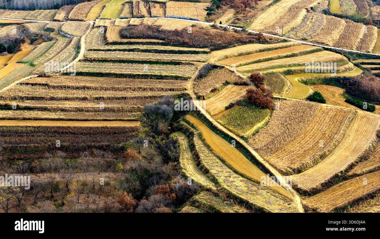 Aerial photo shows the early winter scenery of terraced fields in ...