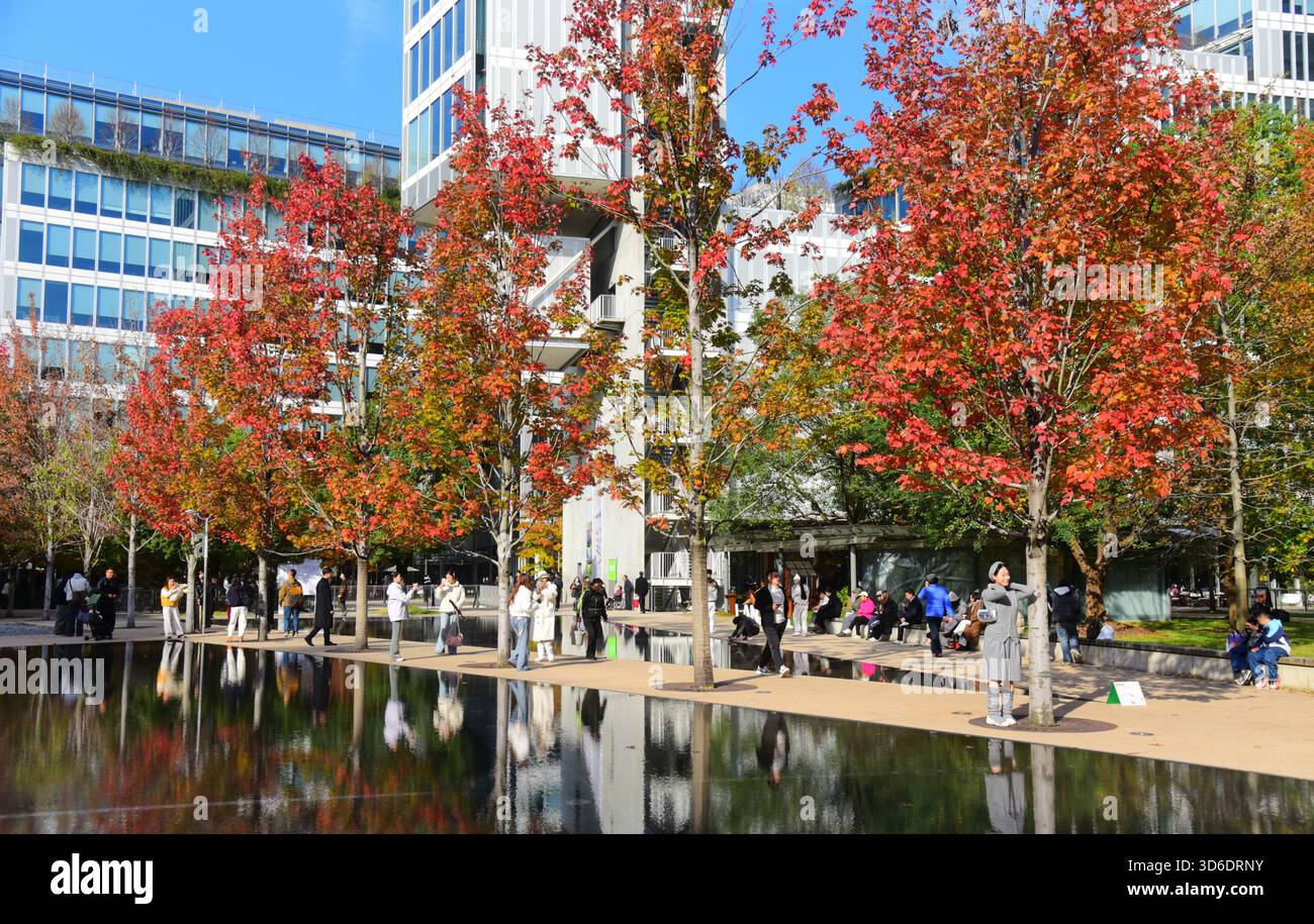 Colorful maple trees in Hangzhou City, east China's Zhejiang Province ...