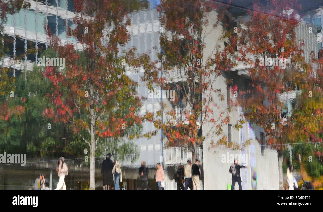 Colorful maple trees in Hangzhou City, east China's Zhejiang Province ...