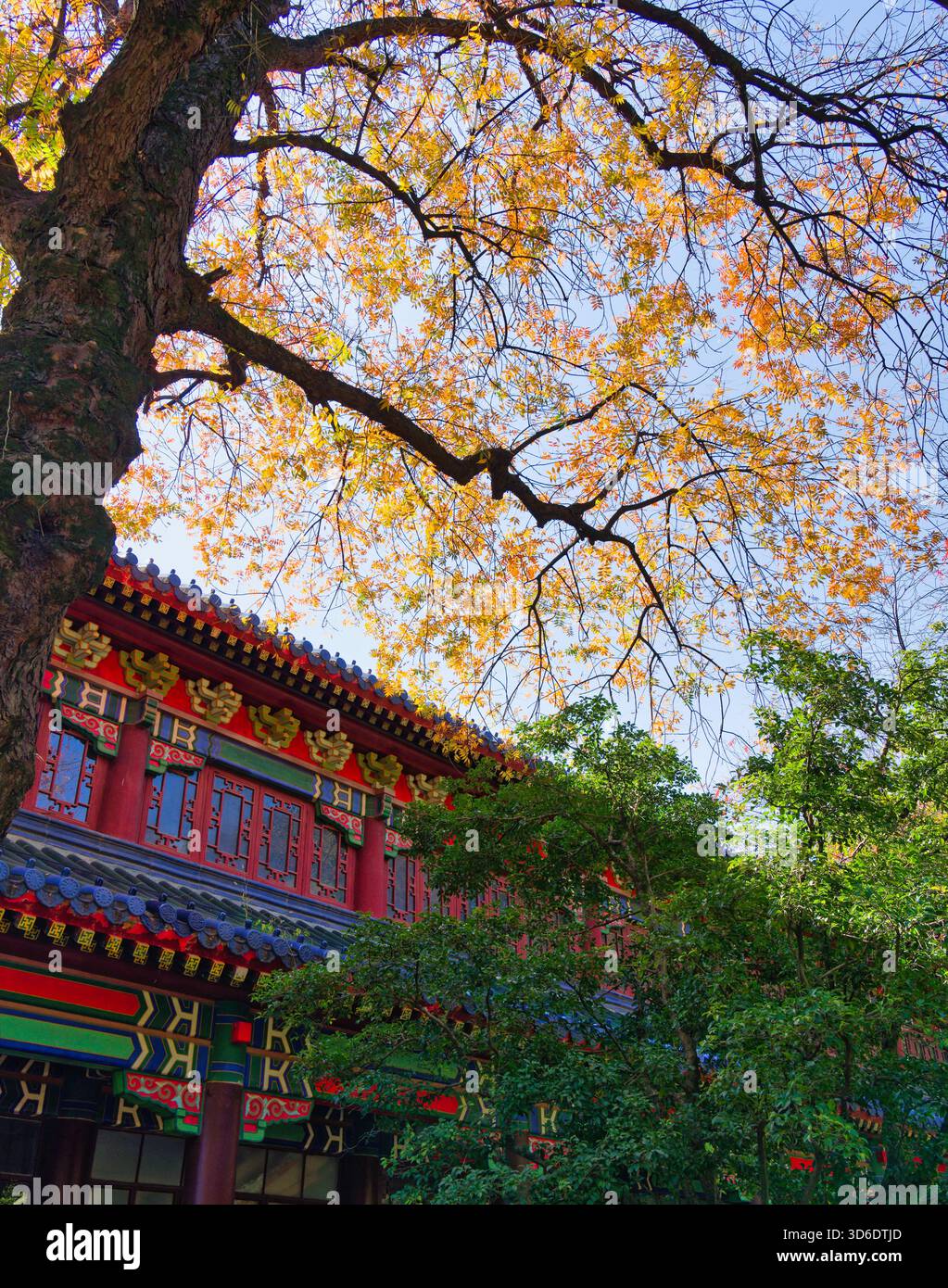 Linggu Temple in Autumn - The Maple Leaf Festival in Nanjing Stock ...