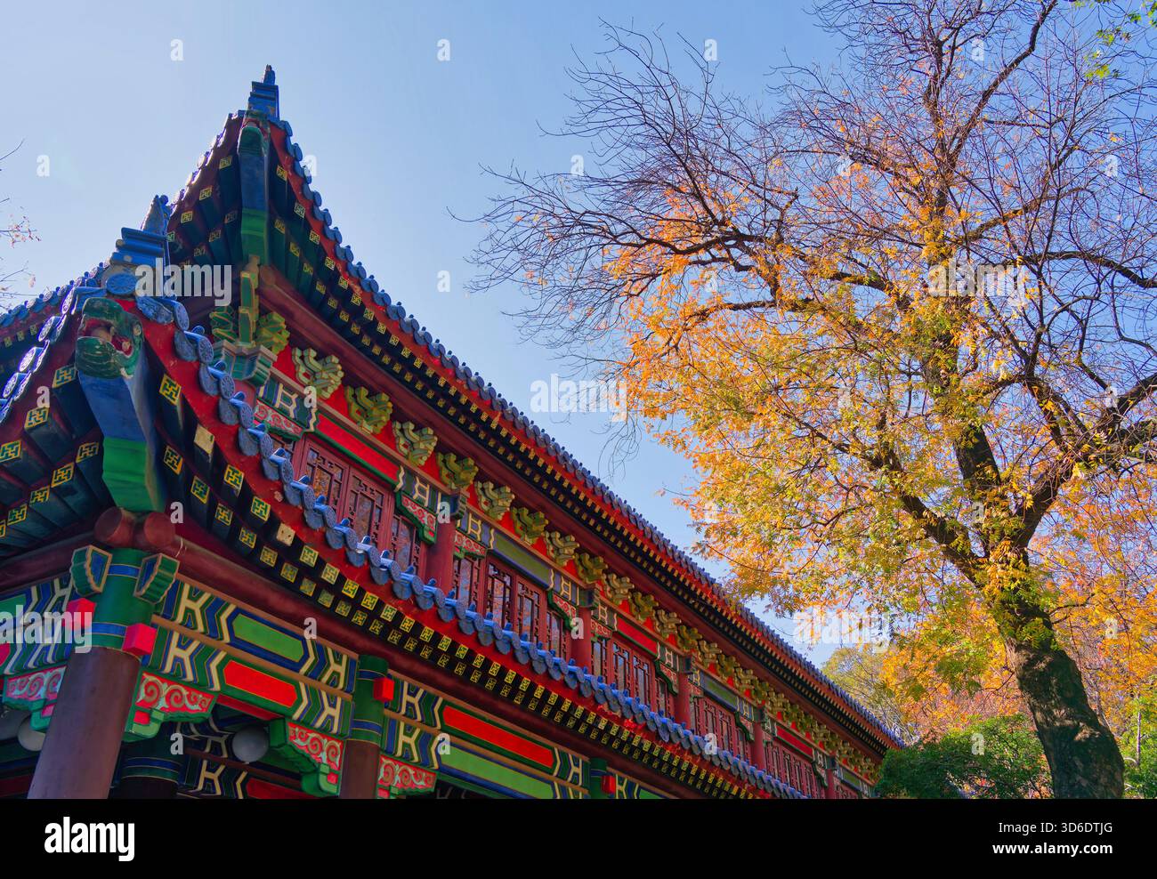 Linggu Temple in Autumn - The Maple Leaf Festival in Nanjing Stock ...