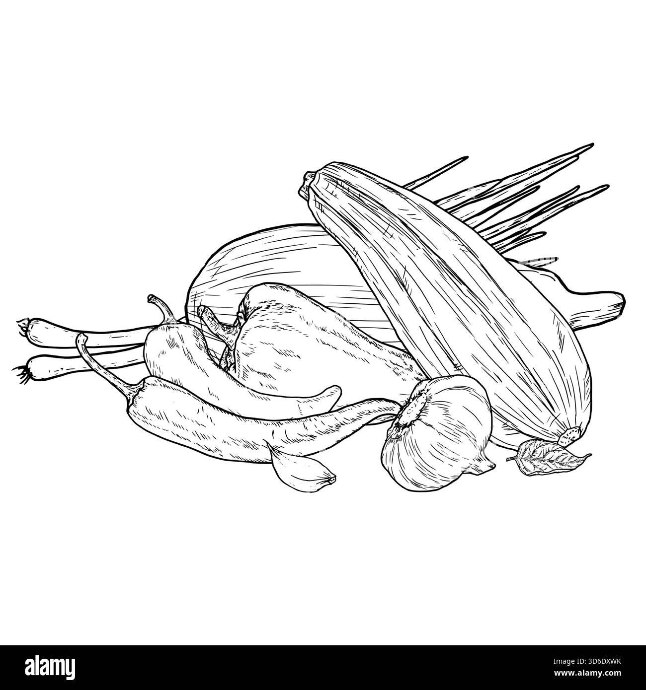 Healthy bulbs Black and White Stock Photos & Images - Alamy