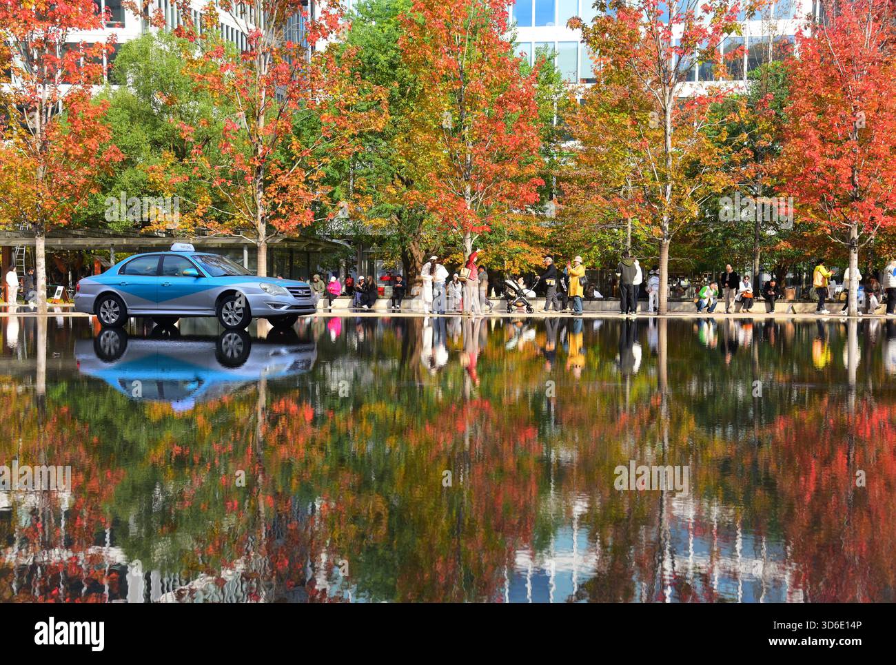 Colorful maple trees in Hangzhou City, east China's Zhejiang Province ...