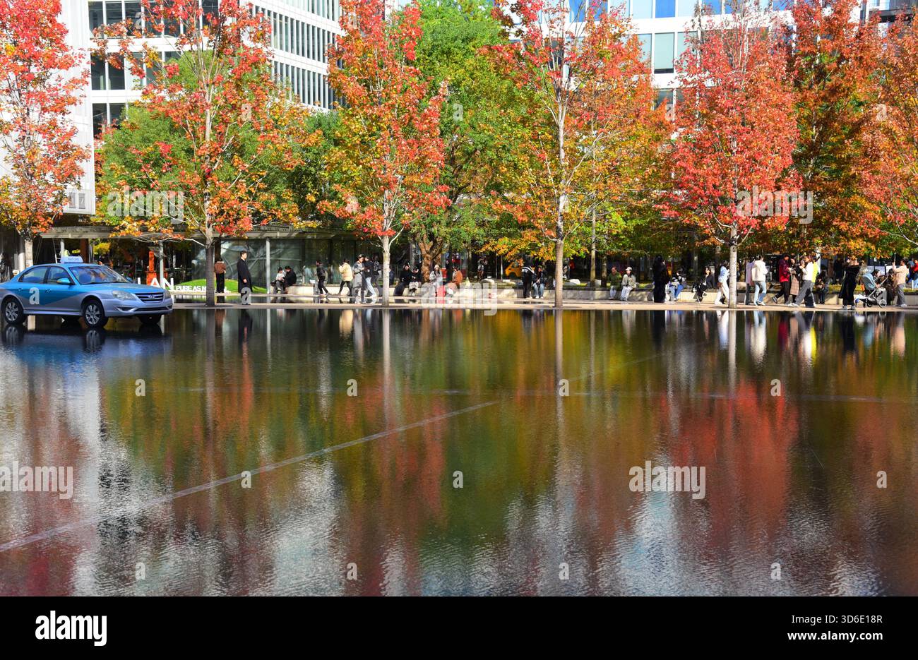 Colorful maple trees in Hangzhou City, east China's Zhejiang Province ...