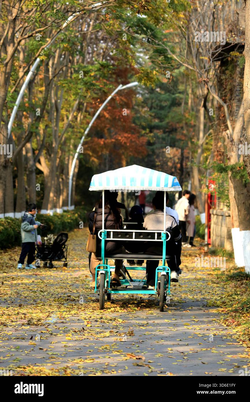 People enjoy early winter scenery at a forest park in Rizhao City, east ...