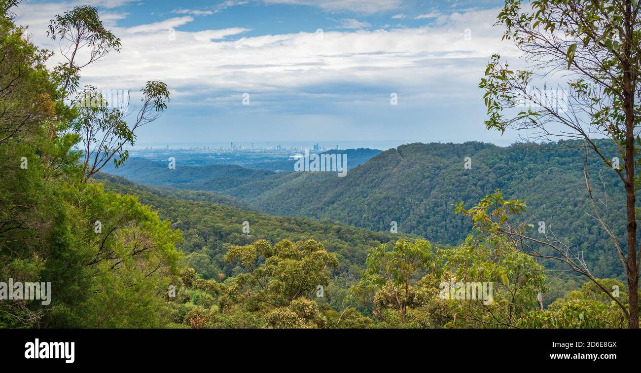 View out across Gondwana Rainforests Heritage Area from Purlingbrook ...