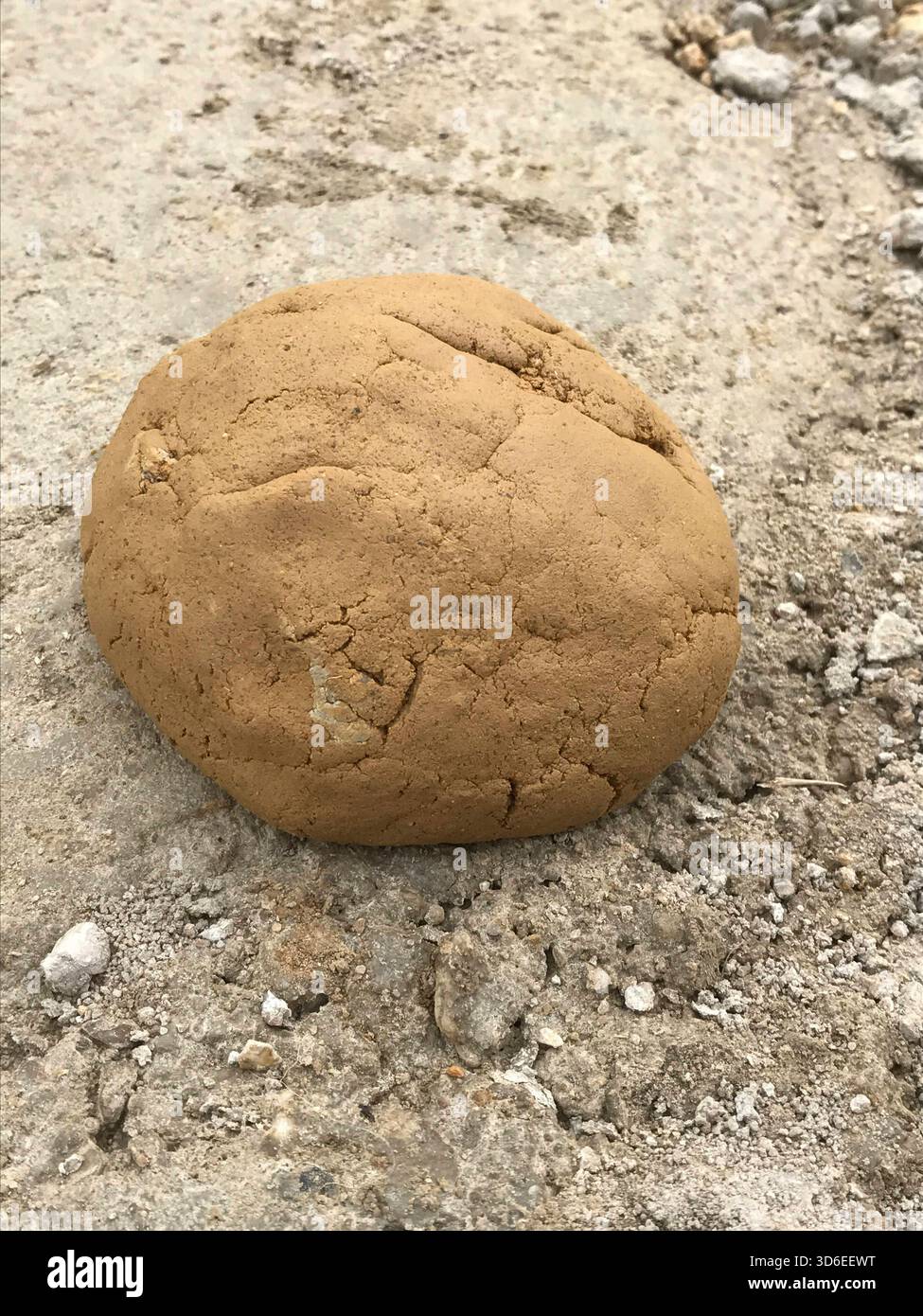 loam rendering as a natural building material in the construction loam ...