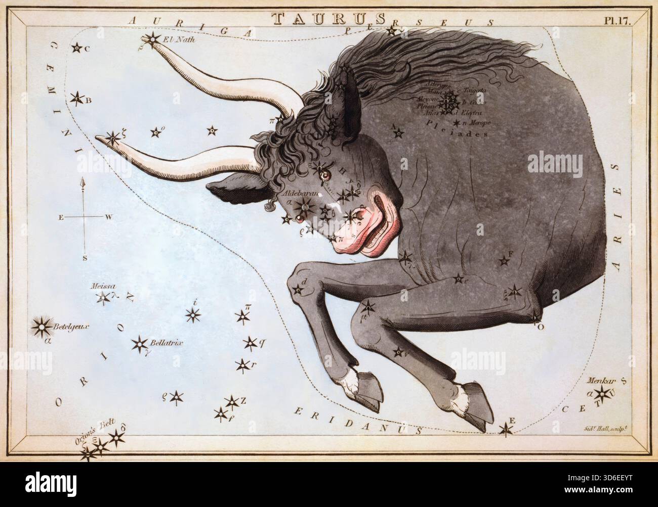Urania’s Mirror, Taurus constellation, vintage celestial map ...
