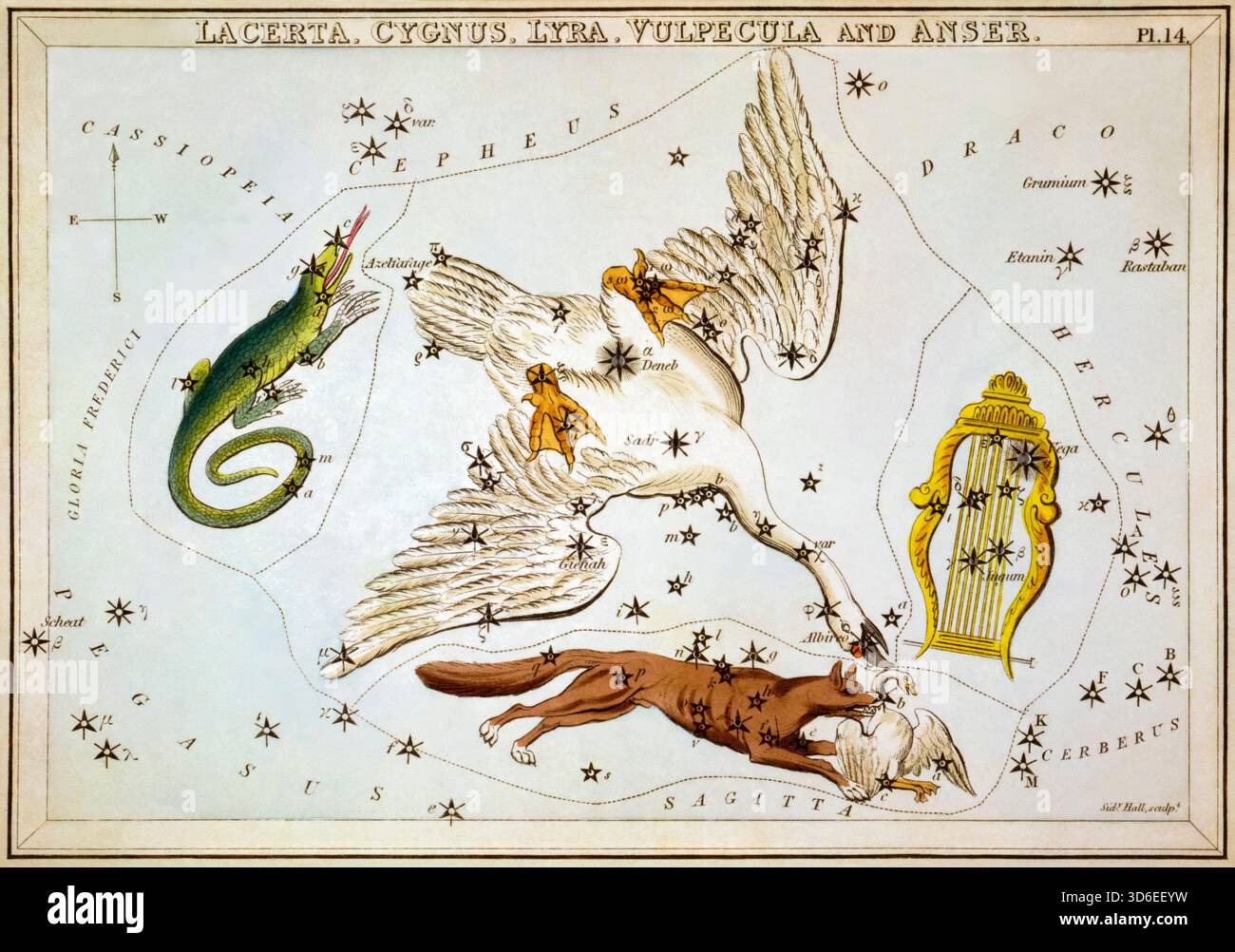 Cygnus constellation vintage hi-res stock photography and images - Alamy