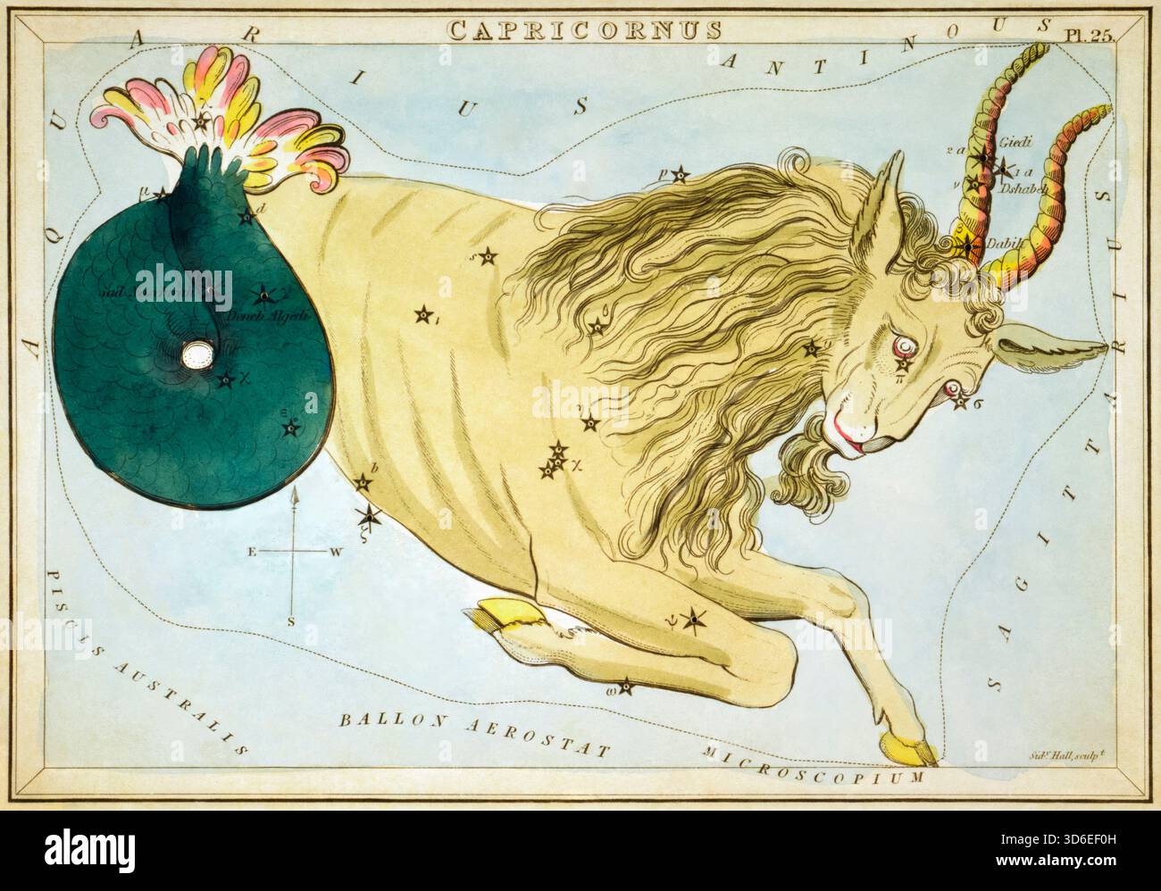 Samuel capricornus hi-res stock photography and images - Alamy