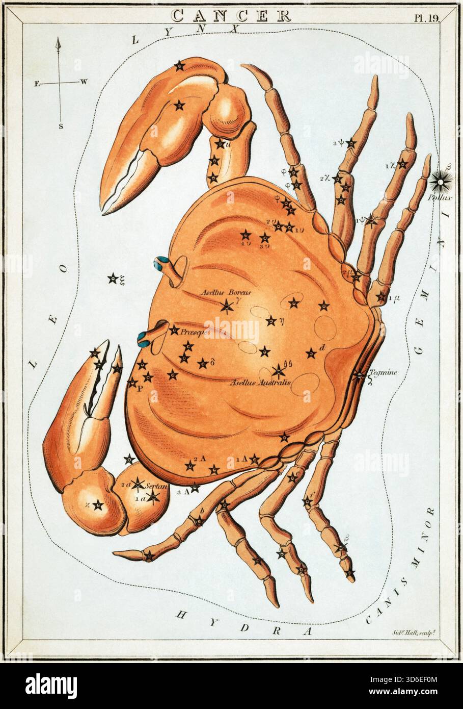 Urania’s Mirror, Cancer constellation, vintage celestial map ...