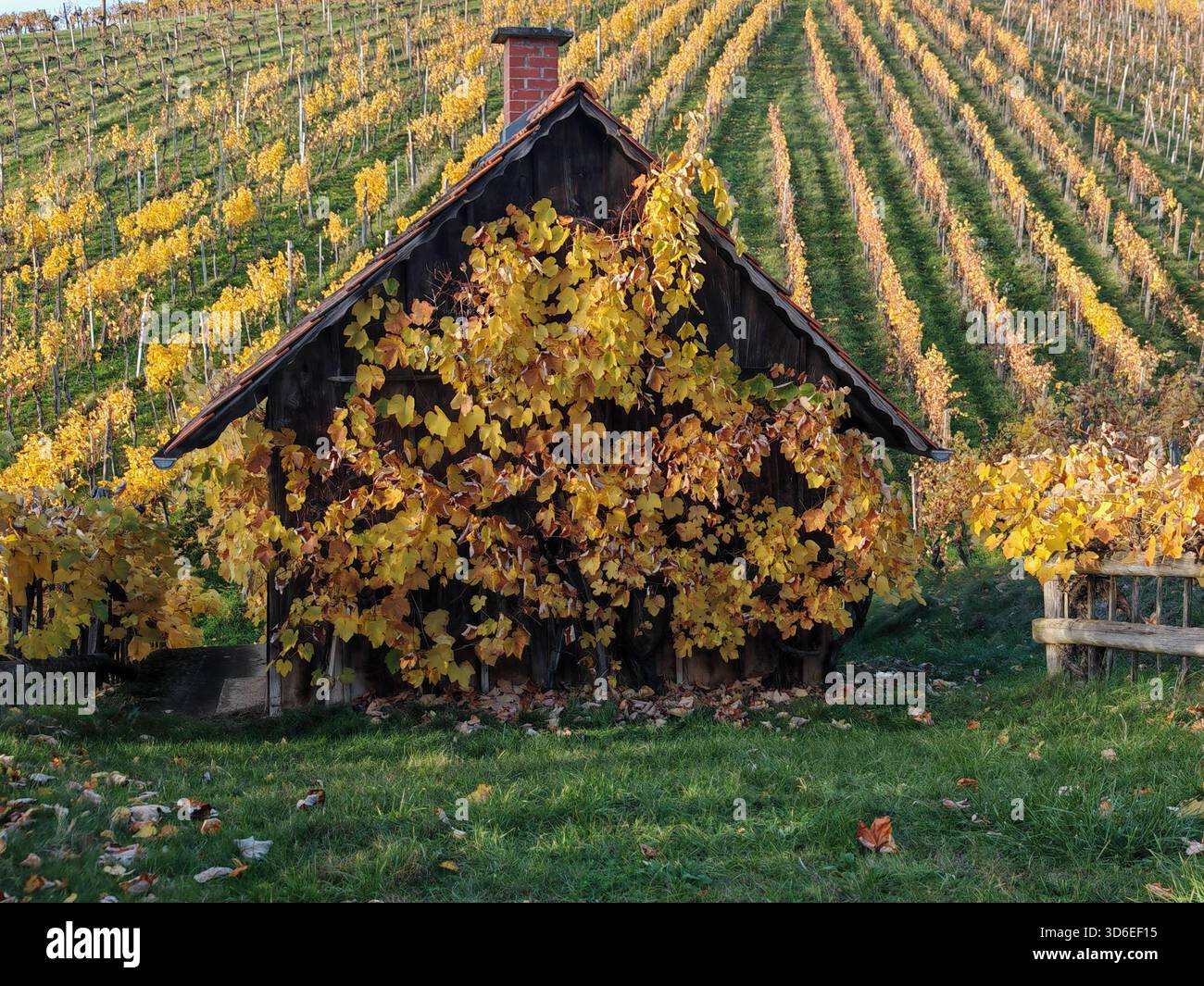 this is klöch wine-growing region, southern styria klöch wine-growing ...