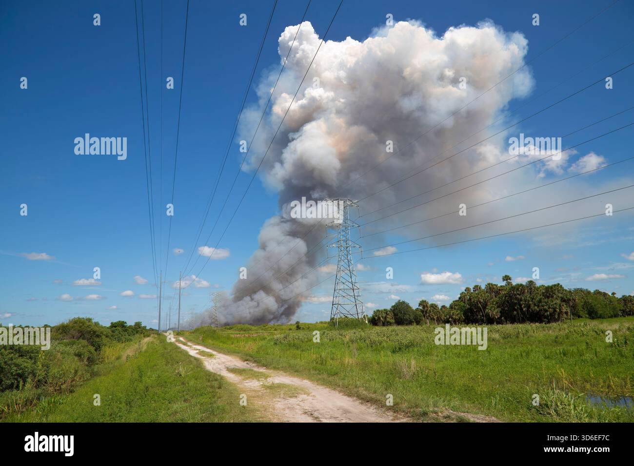 Prescribed fire florida hi-res stock photography and images - Alamy