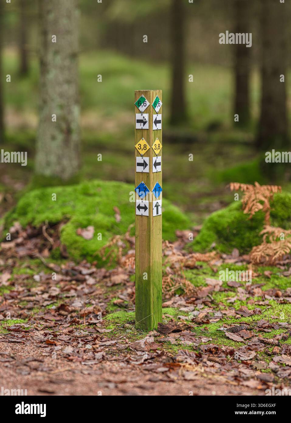 Color coded trail markers hi-res stock photography and images - Alamy