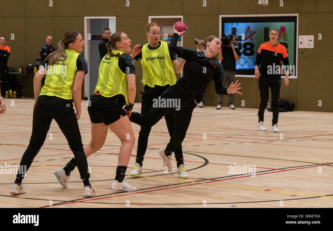 ARNHEM, NETHERLANDS - NOVEMBER 20: Nikita van der Vliet of the ...
