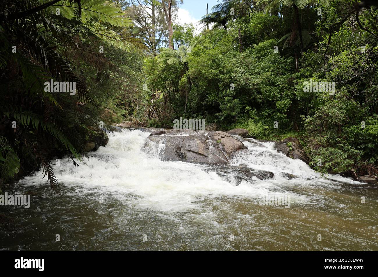 Tropical Forest Stream Cascading Over Rocky Ledge Stock Photo - Alamy