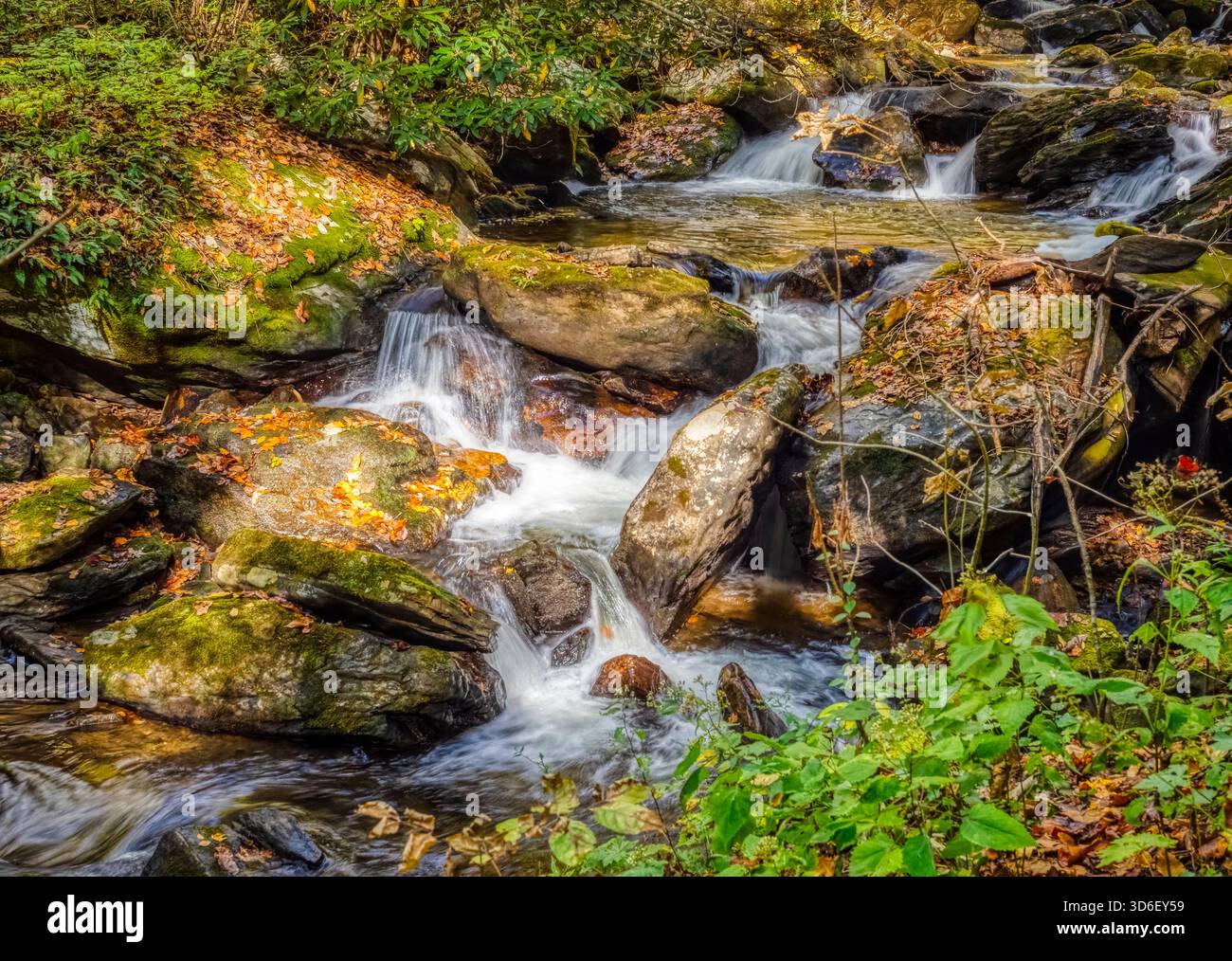 Smith Creek along the Anna Ruby Falls Trail in the Chattahoochee-Oconee ...