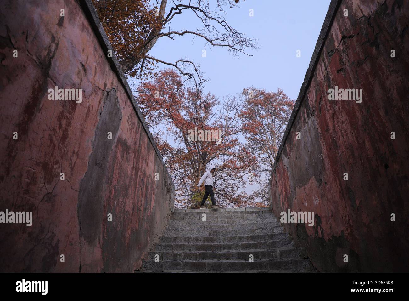 November 20, 2025, Srinagar, Kashmir, India: A boy is seen walking amid ...