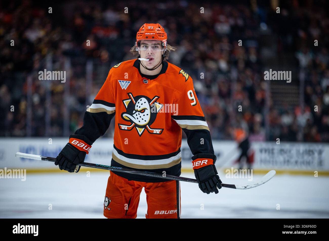 Anaheim Ducks center Leo Carlsson (91) waits for play to begin during ...