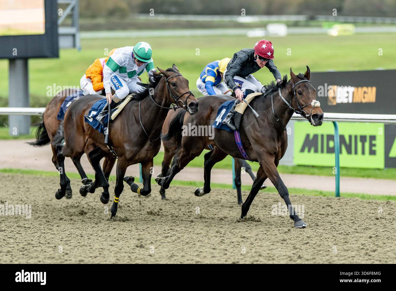 The BetMGM Fleur de Lys EBF Fillies' Stakes (Class 1)(Listed Race) 🥇Sky ...