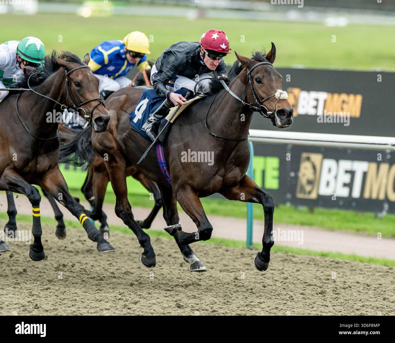 The BetMGM Fleur de Lys EBF Fillies' Stakes (Class 1)(Listed Race) 🥇Sky ...